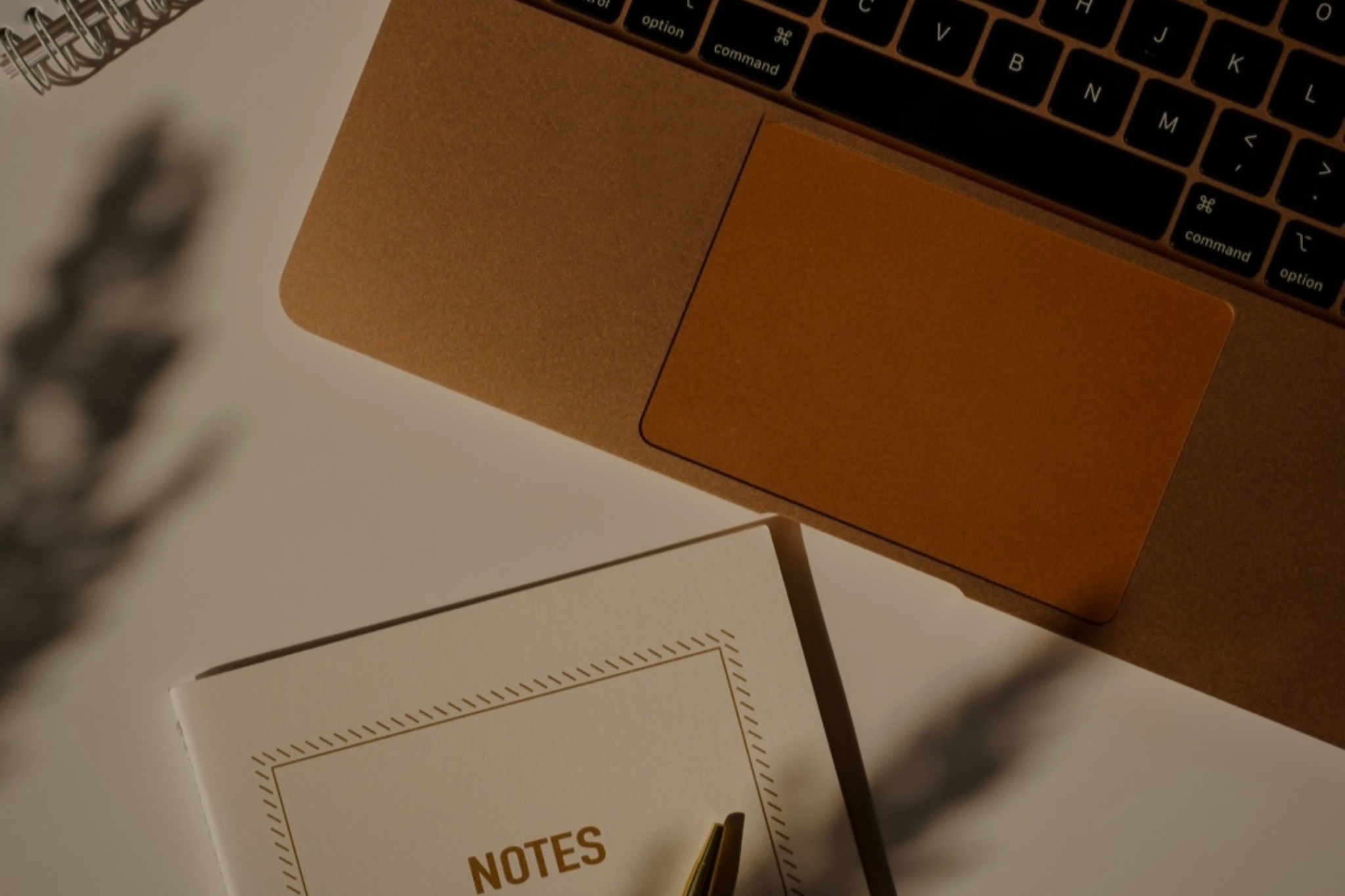 On The Blog: Want To Boost Your Brain Power - Goldest Leaf